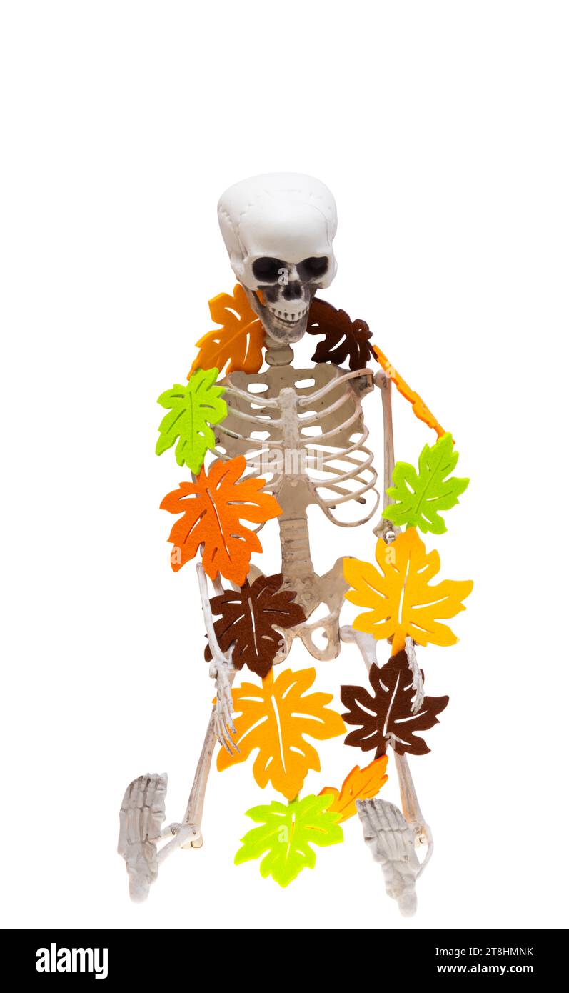 Physiology science skeletal skeleton Cut Out Stock Images & Pictures ...