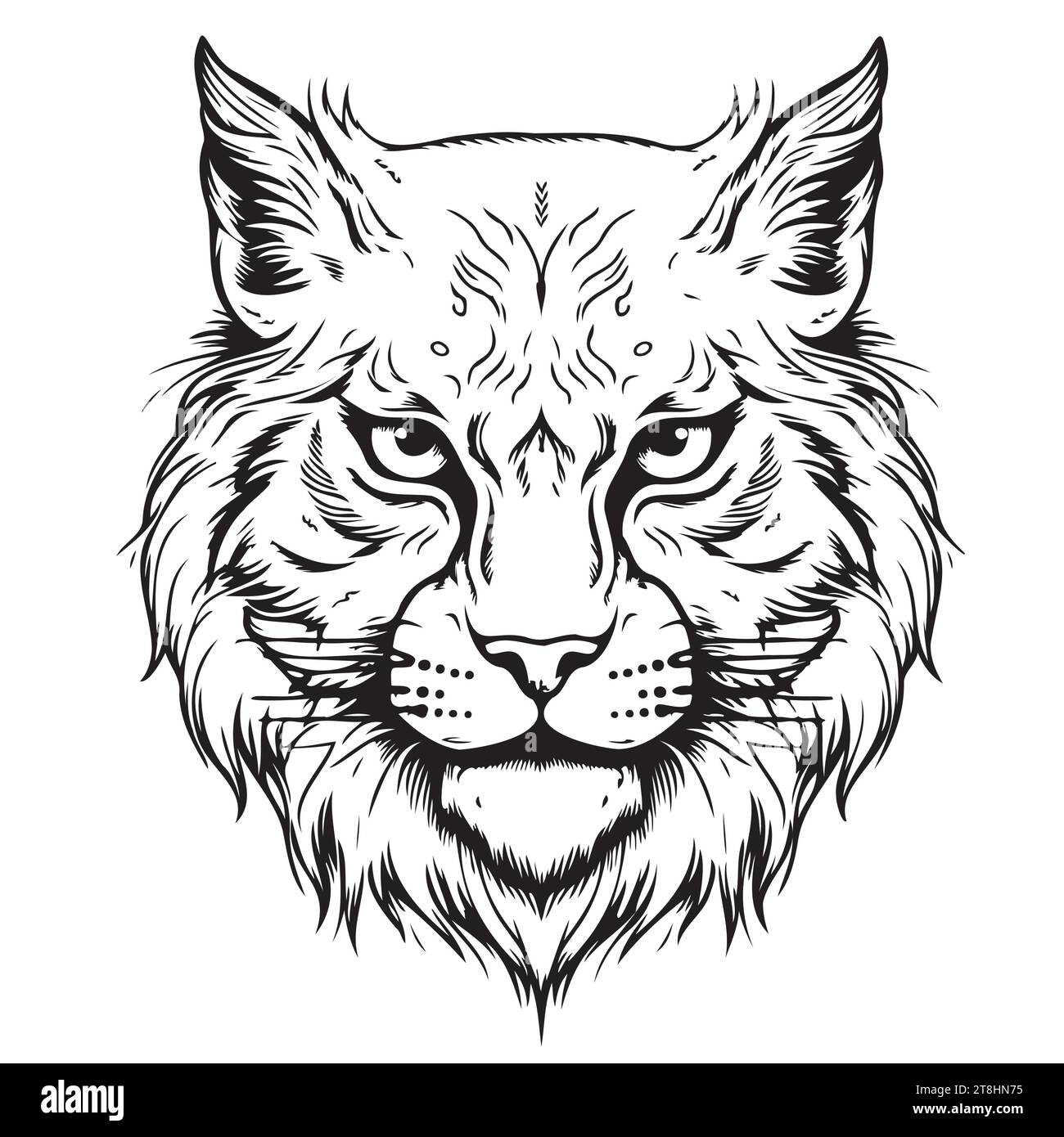 Lynx head . Sketch, drawn, graphic portrait of a lynx head on a white ...