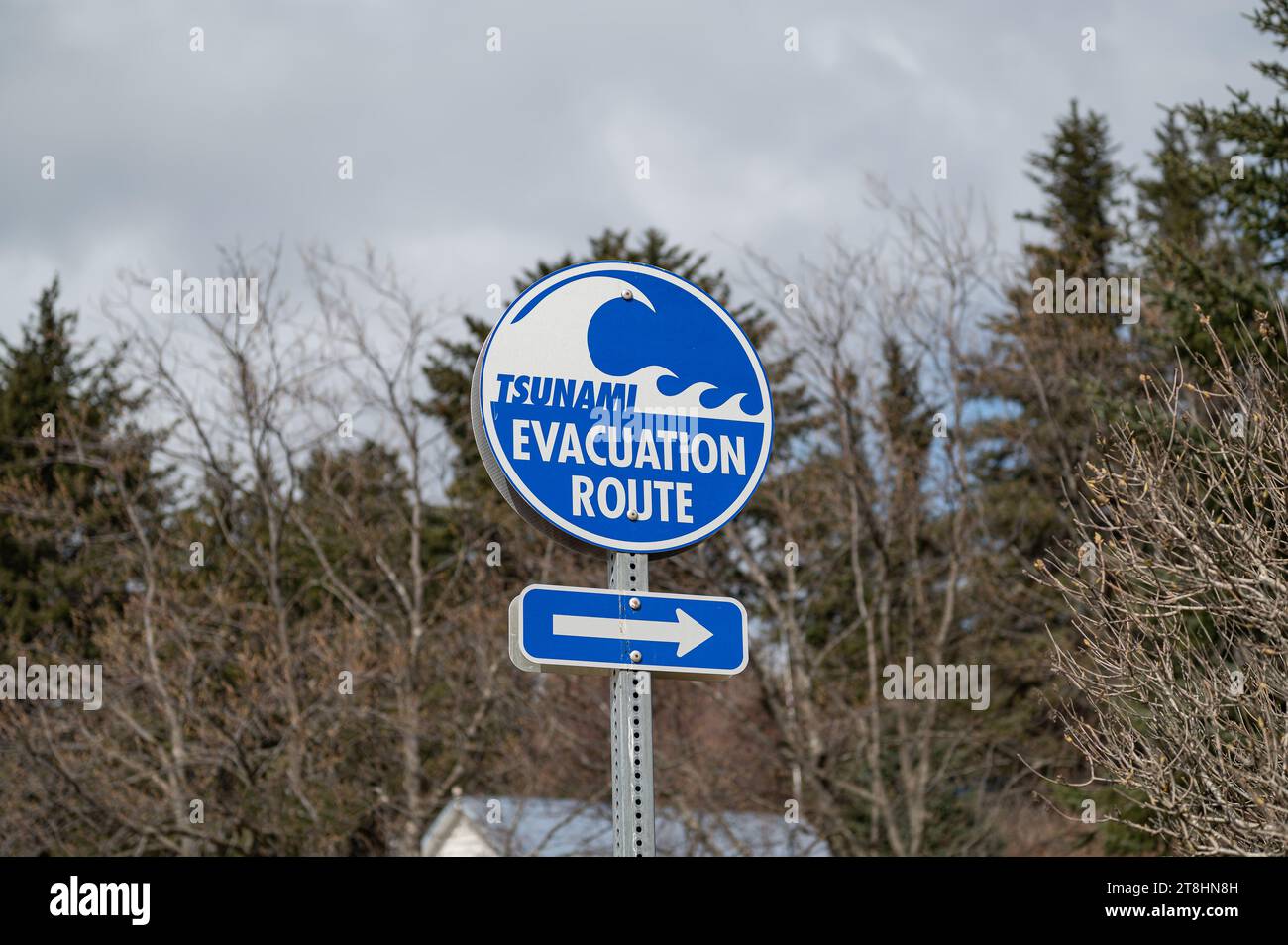 Alaska Tsunami Evacuation Route Sign and direction Arrow Stock Photo ...