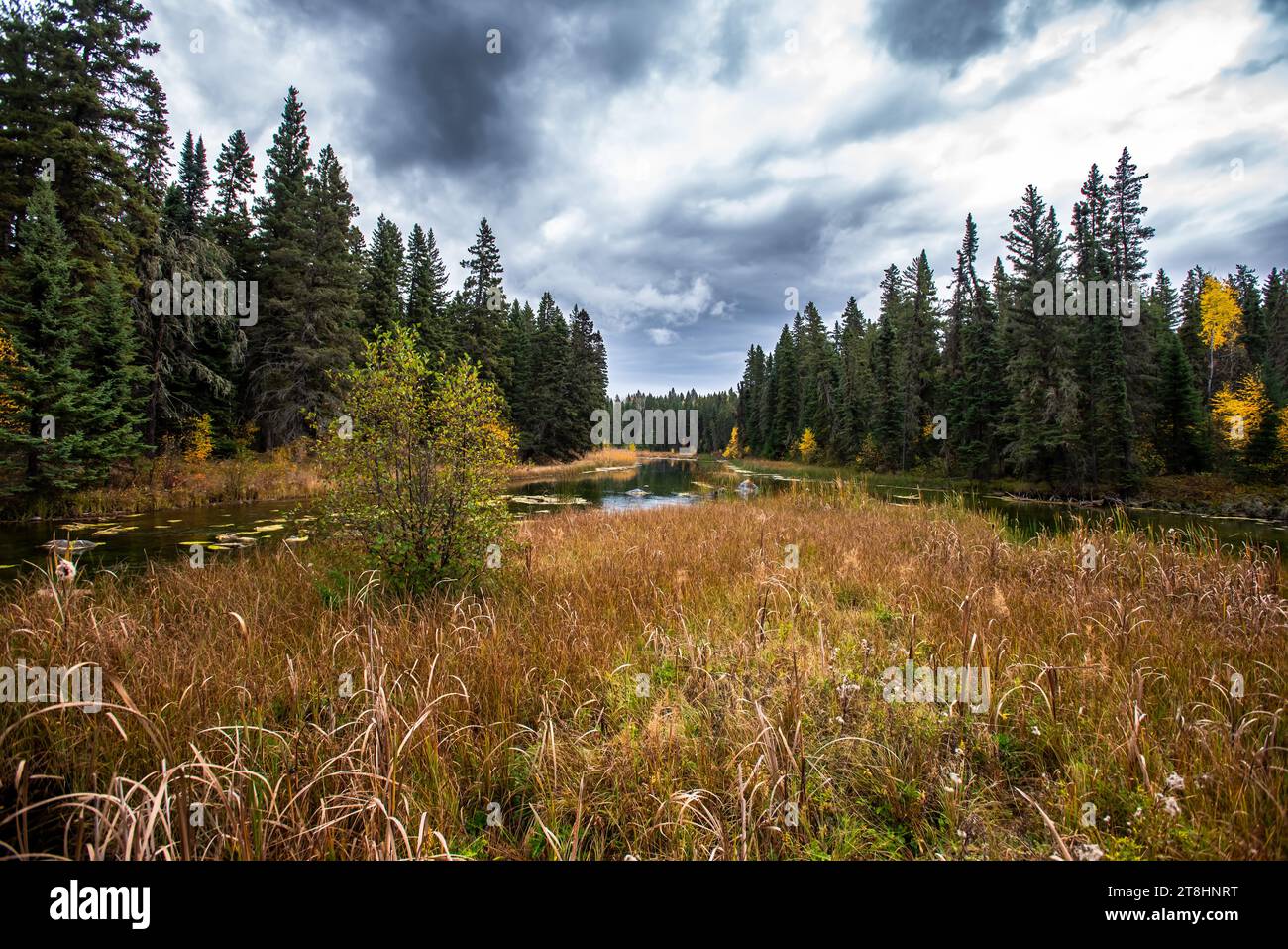 Autumn in Prince Albert National Park Stock Photo - Alamy