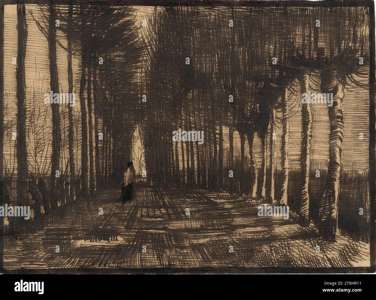 Van gogh pollard birches hi-res stock photography and images - Alamy