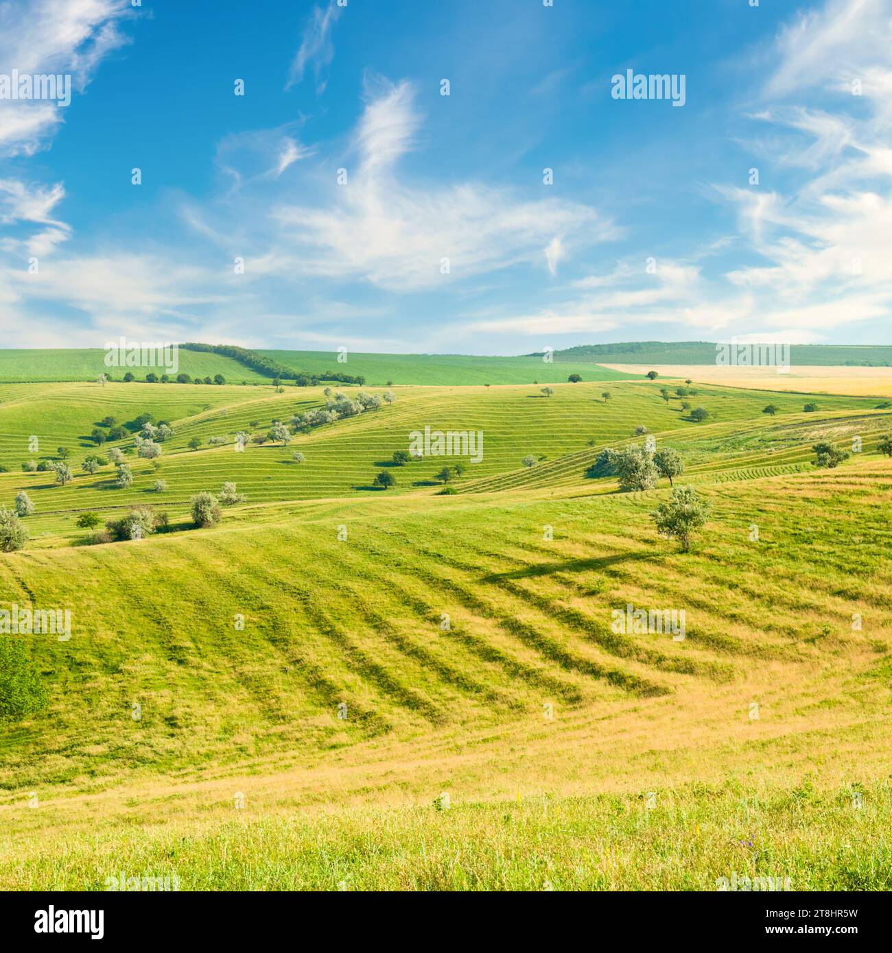 Terrace farming on hillsides hi-res stock photography and images - Alamy
