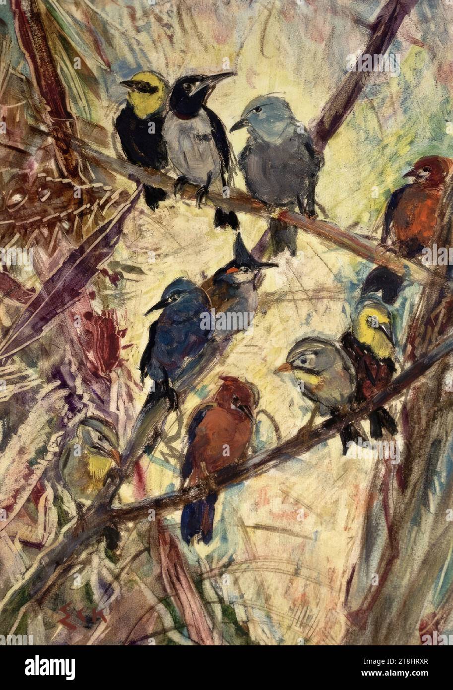 Colorful birds, Ernst Beck, Alt-Lengbach 1879 - 1941 Vienna, drawing ...