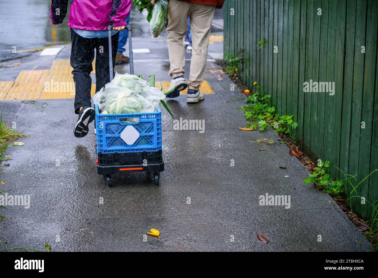 Woman pulling a shopping basket on wheels, walking in the rain. People ...