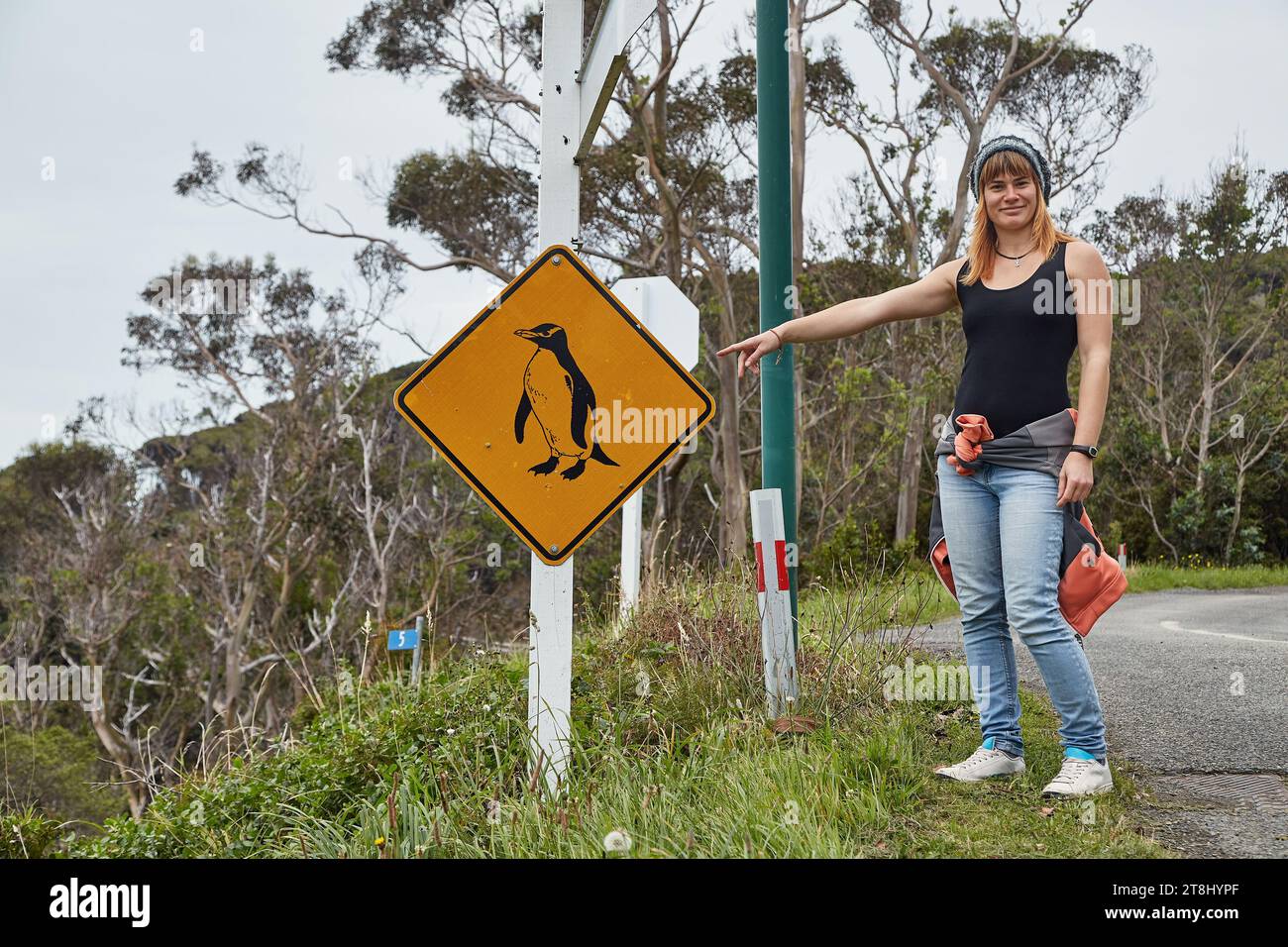 Penguin road sign in New Zealand Stock Photo - Alamy