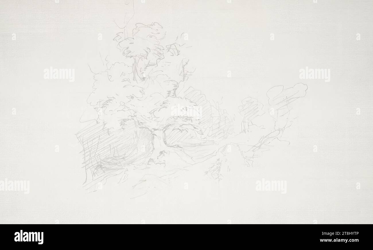 Forest study with beech, sketchbook Schuch Carl; 34 paginated pages ...