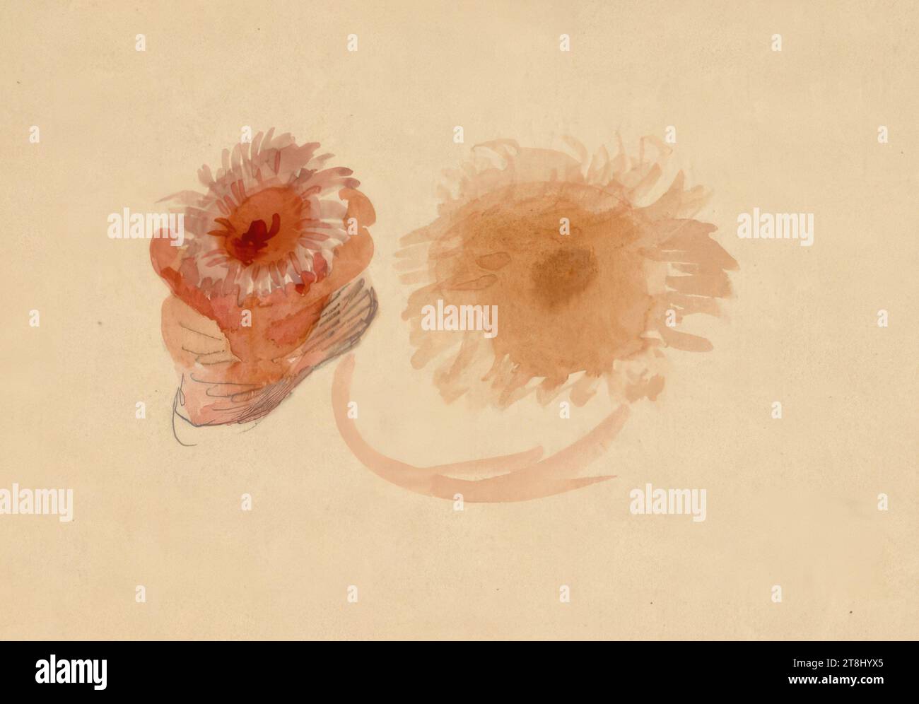 Two red water lilies, Marie Lippert-Hoerner, Vienna 1860 - 1932 Vienna ...