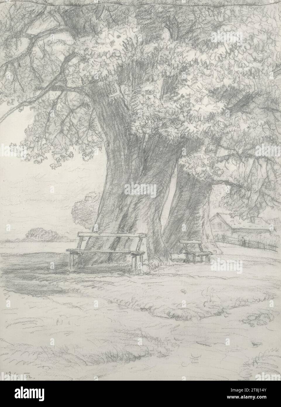 Sketch with two trees and benches underneath, sketchbook Ribarz Rudolf ...