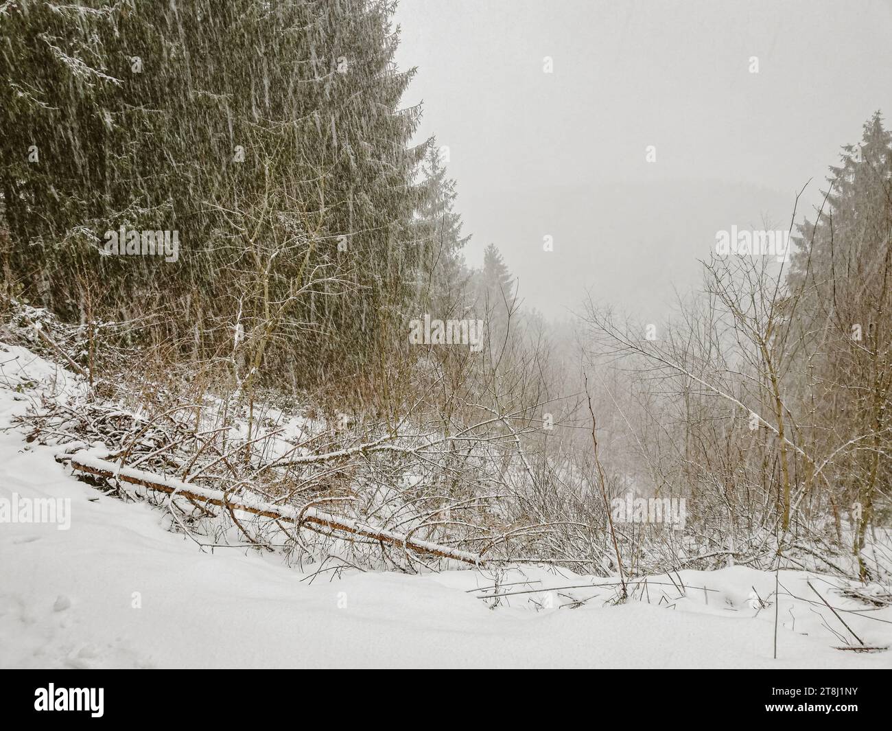 Heavy snow mountains hi-res stock photography and images - Alamy