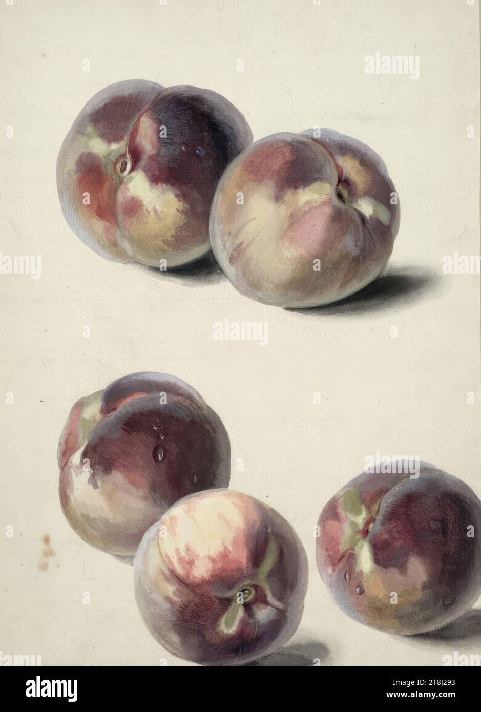 Peaches, Josef Lauer, Vienna 1818 - 1881 Vienna, 1860, drawing, pencil ...