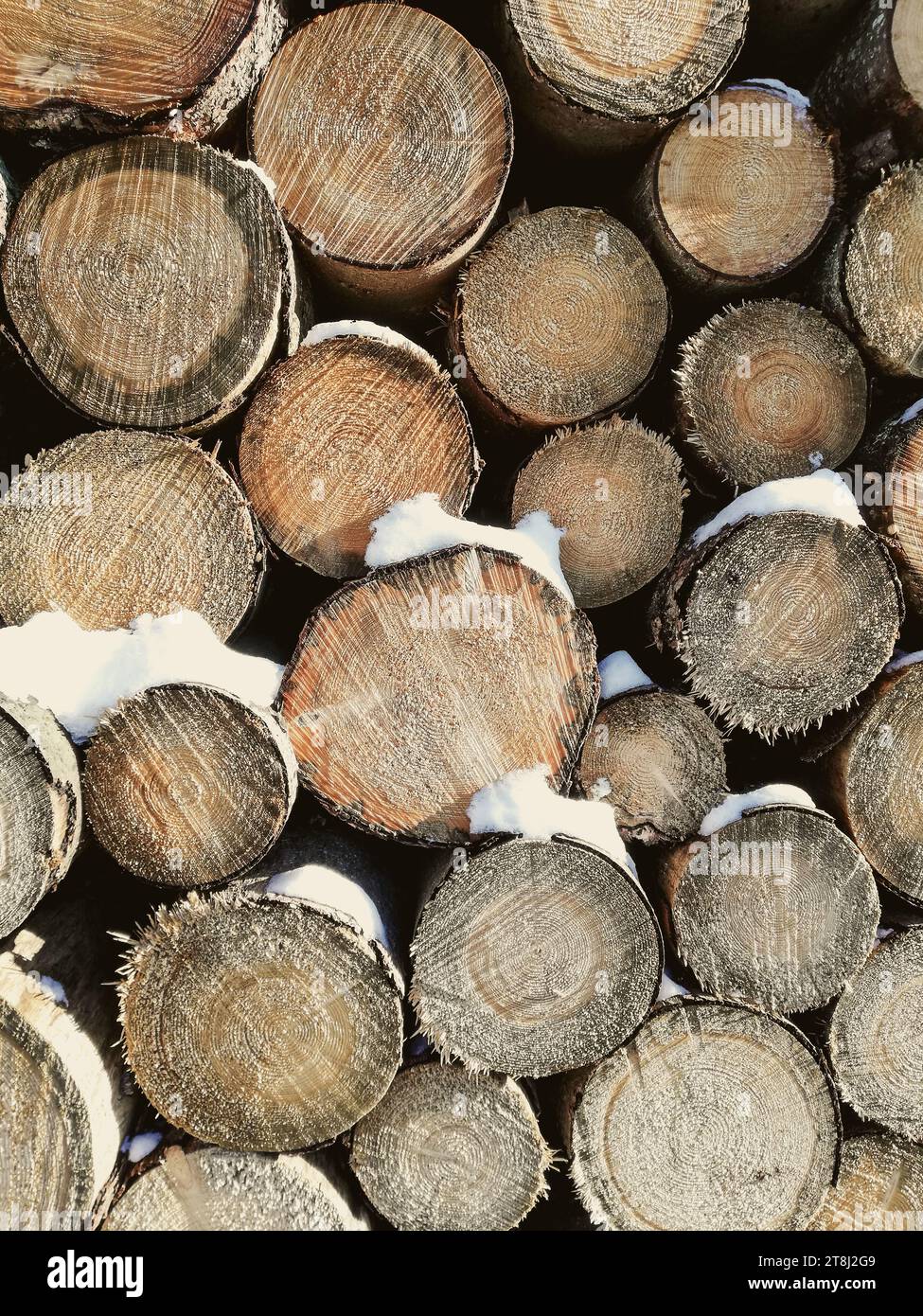 Snow winter woodwork hi-res stock photography and images - Alamy