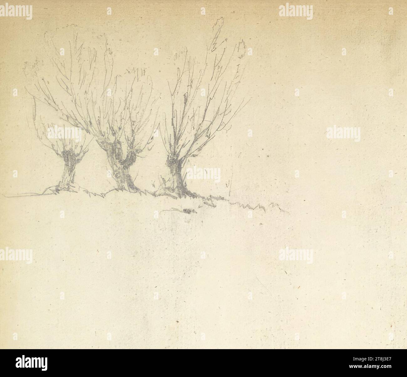 Three willows, sketchbook Hörmann Theodor von; 28 paginated pages, Theodor von Hörmann, Imst ...