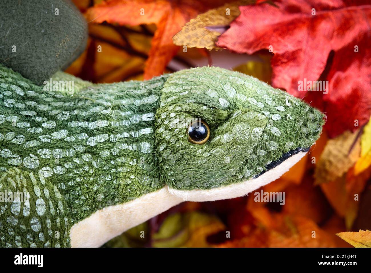 Reptile shape hi-res stock photography and images - Alamy
