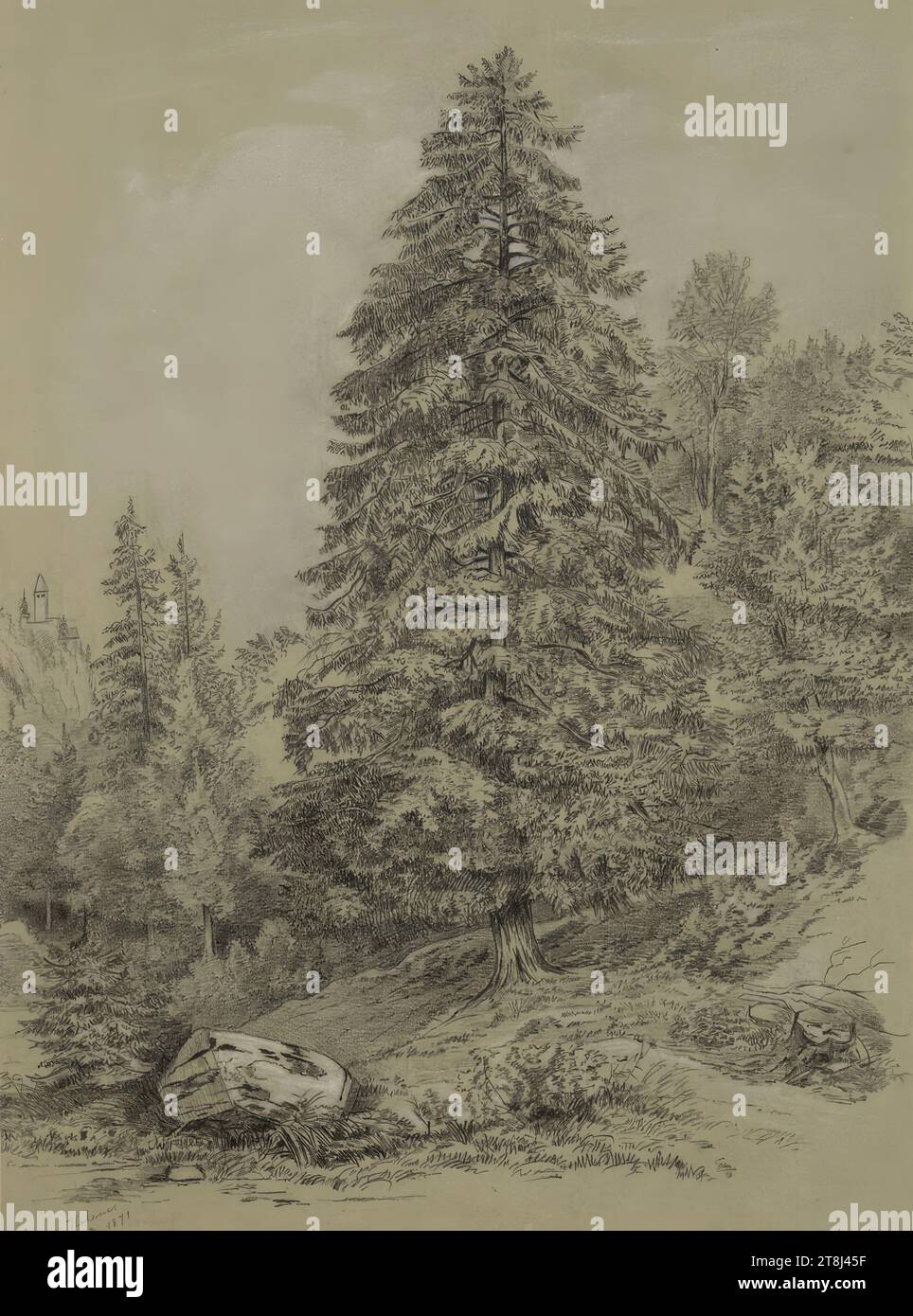 Forest study, Helene von Eschenburg, 1853 - 1937, 1871, drawing, chalk ...