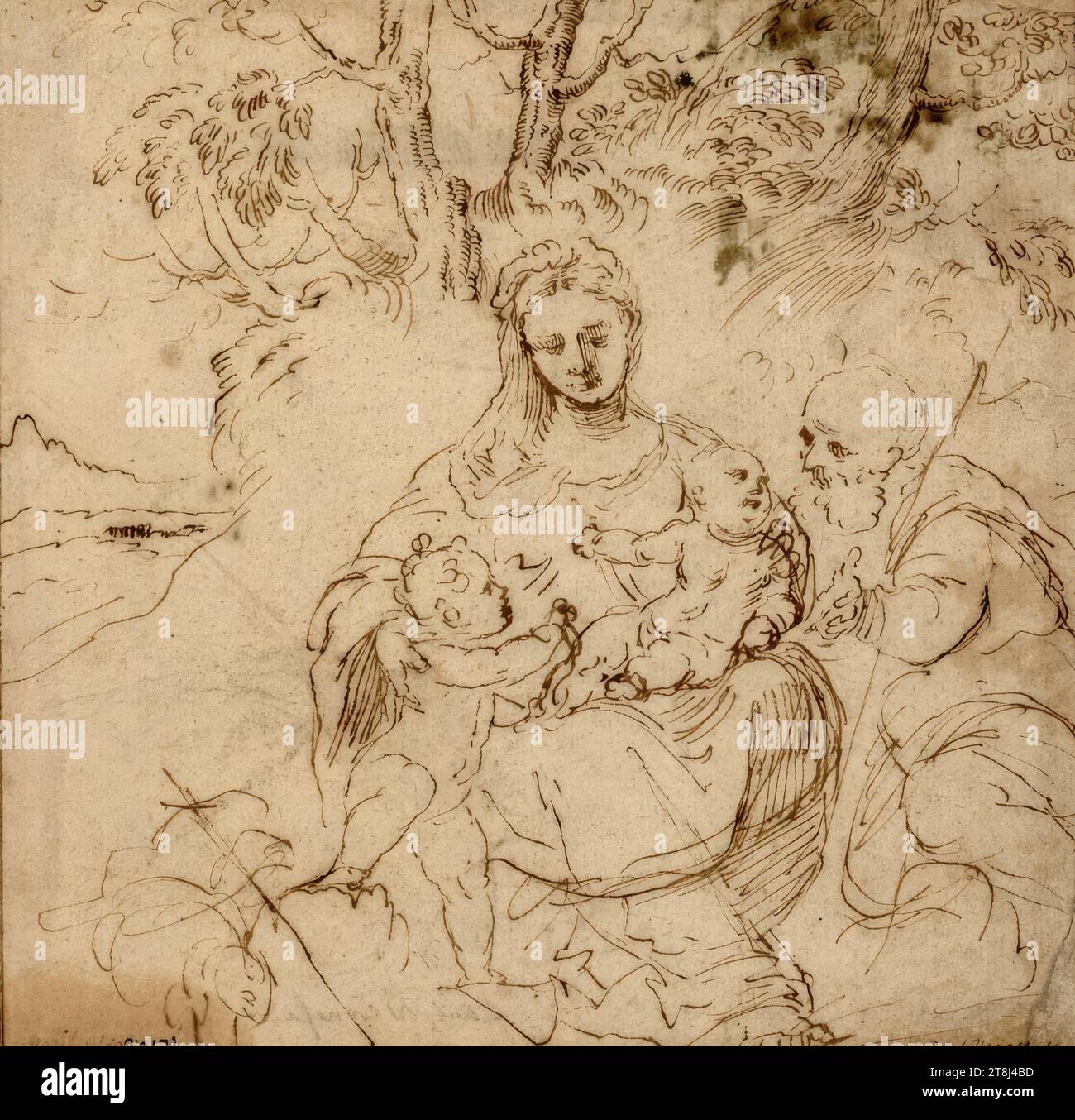 Family tree drawing hi-res stock photography and images - Alamy