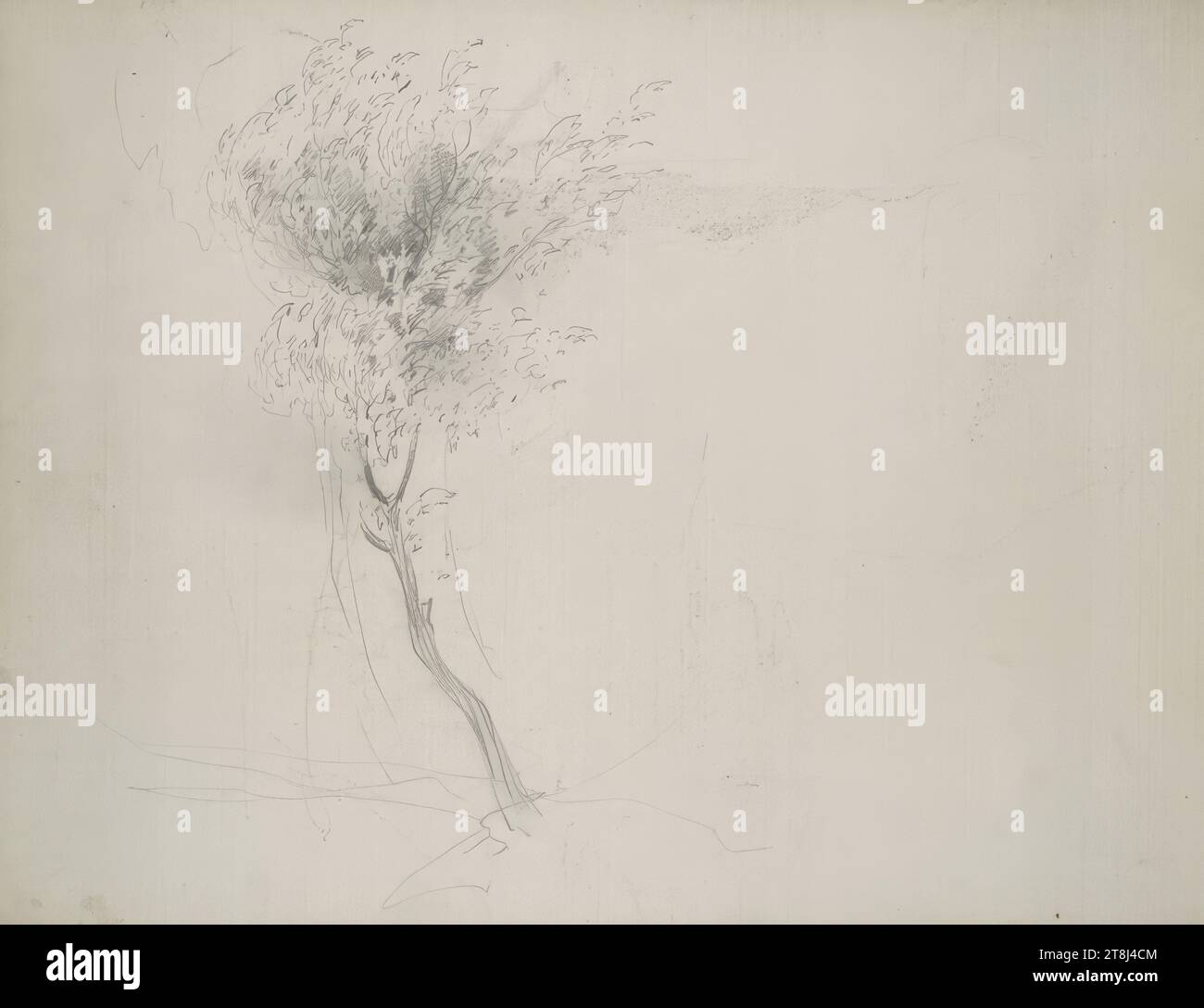 Tree sketch, Rösch Ludwig sketchbook; 36 paginated pages, partly loose ...