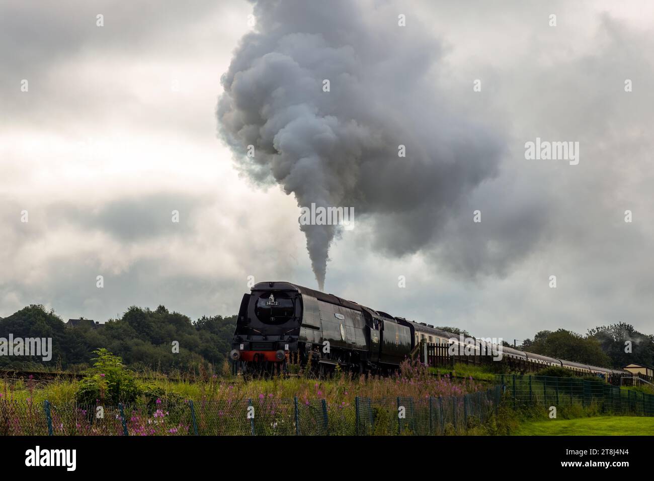 Steam train in motion with carriages Stock Photo - Alamy