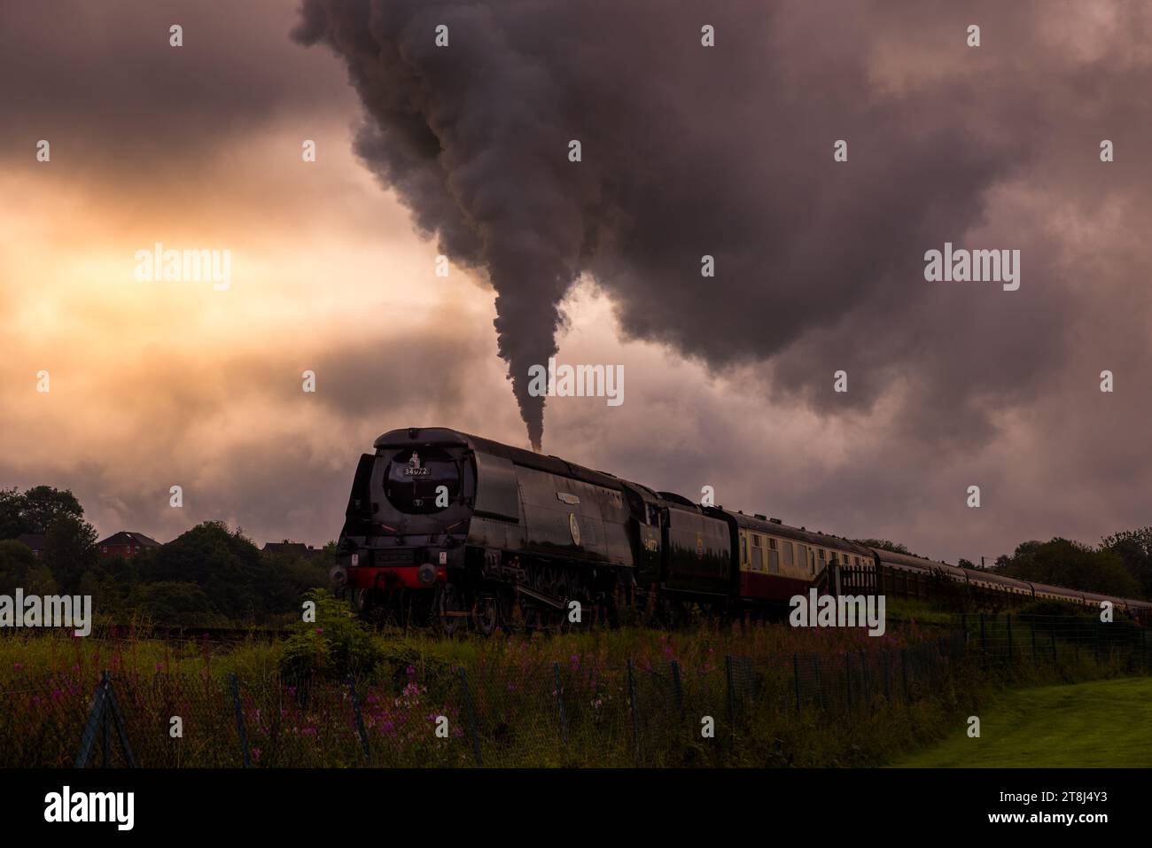 Steam train in motion with carriages Stock Photo - Alamy