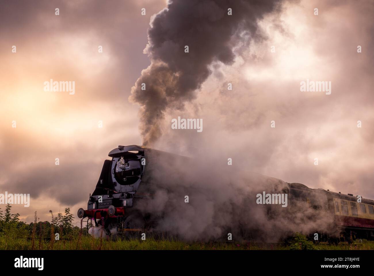 Steam train in motion with carriages Stock Photo - Alamy