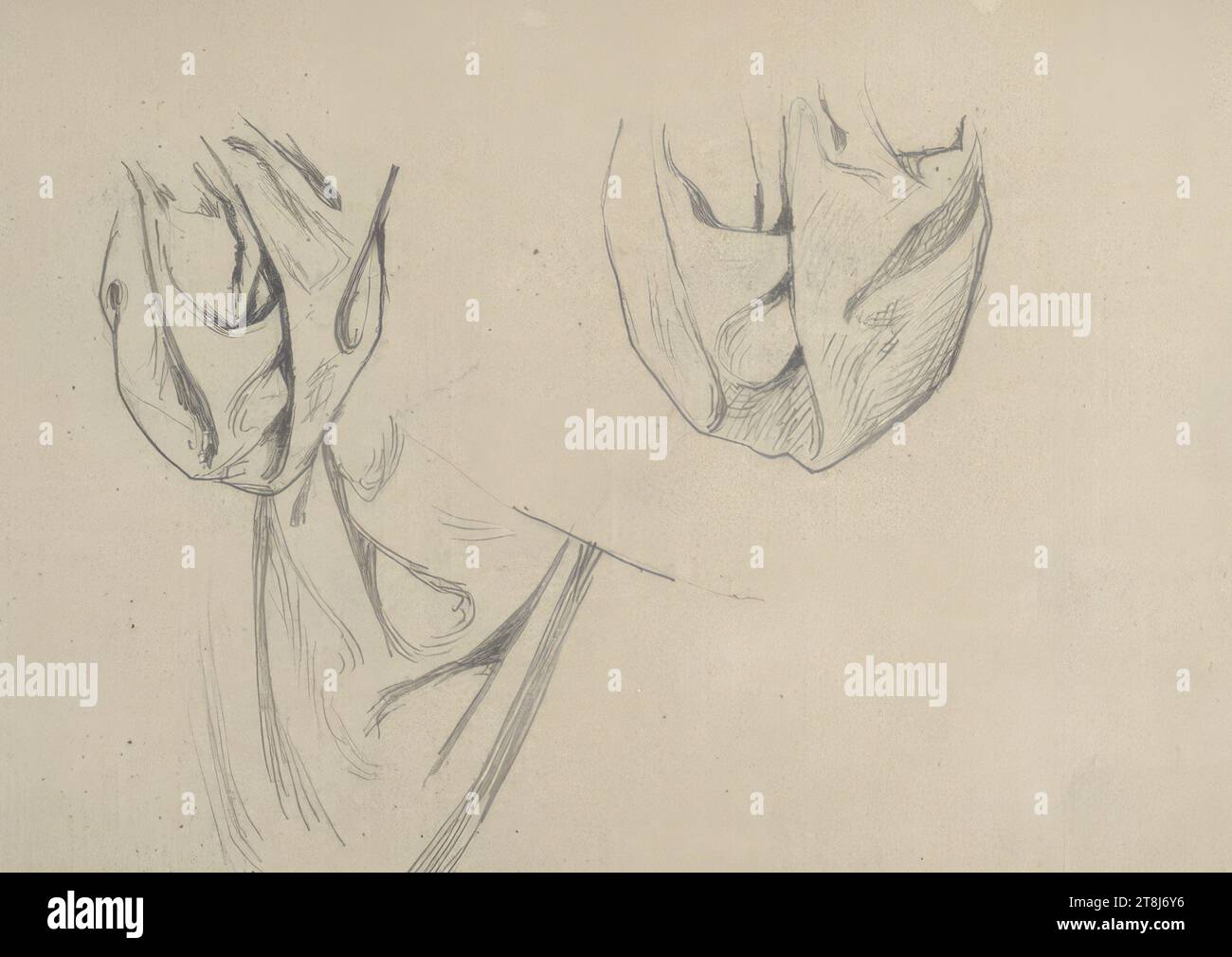 Drapery studies, sketchbook Swoboda Emerich Alexius; 81 paginated pages ...