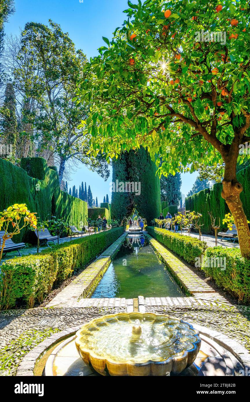 Architecture Alhambra Palace and Fortress Complex, Granada, Spain Stock ...