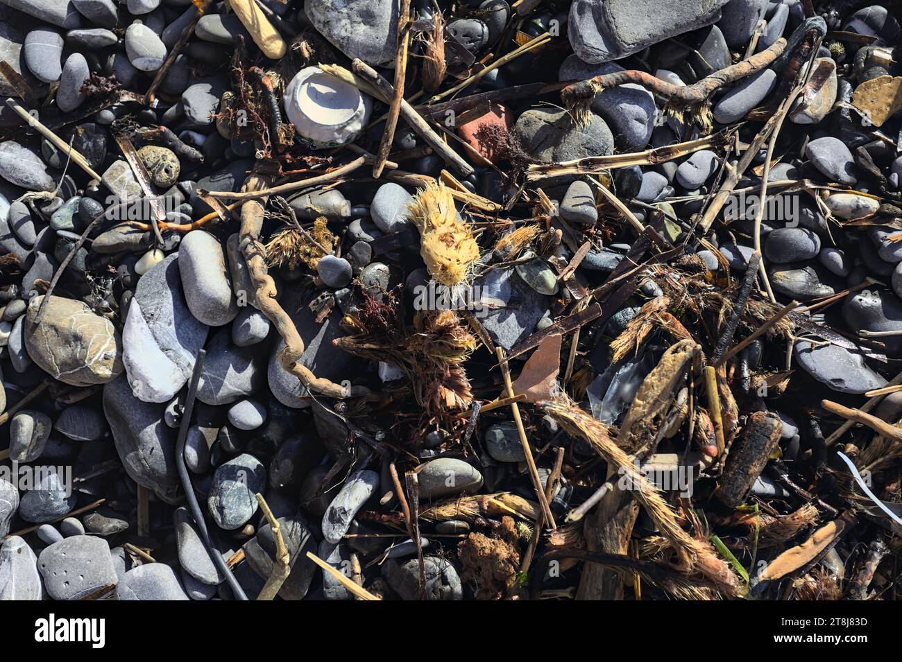 Wood pieces on a pebbled beach seen up close Stock Photo - Alamy