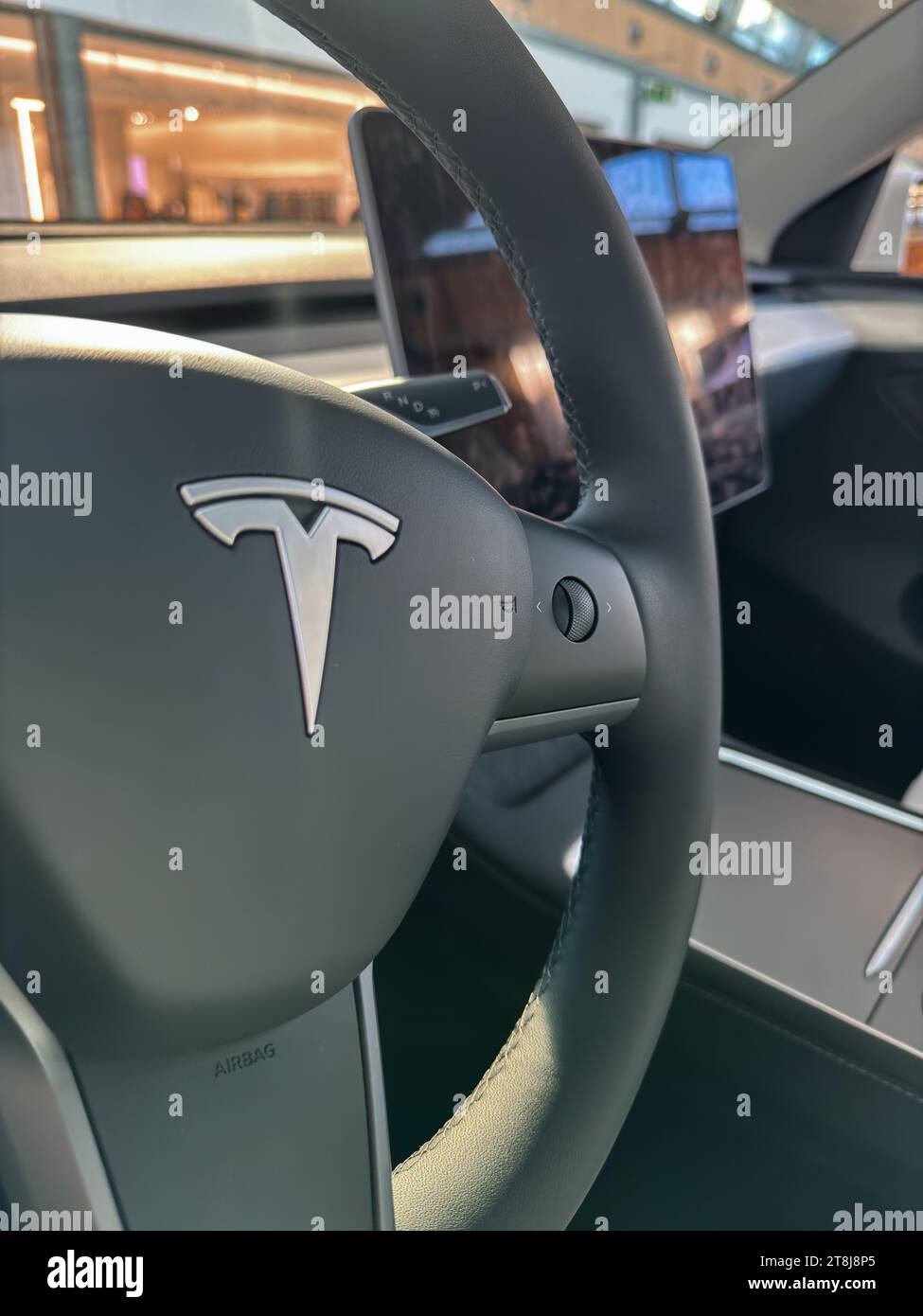 Tesla Model Y exhibited in Puerto Venecia, well-recognized shopping ...