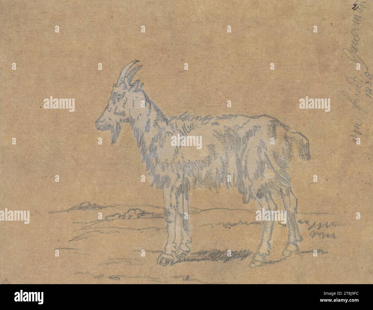 Drawing of a goat, folder with 20 loose sketch sheets, Friedrich ...