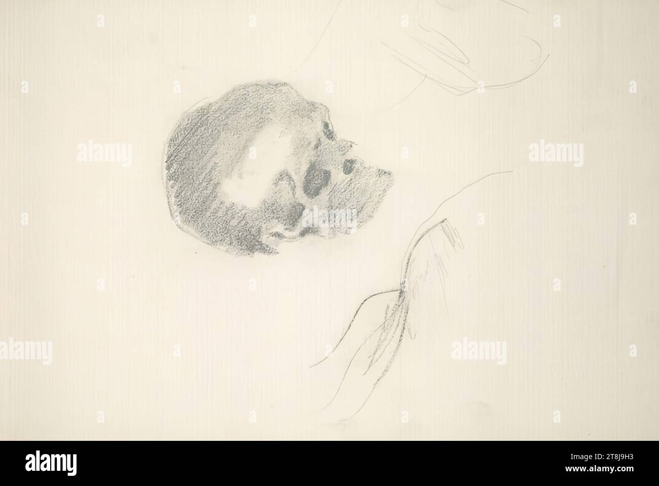 Study of a Skull; unclear sketch, sketchbook Canon Hans; 27 paginated ...