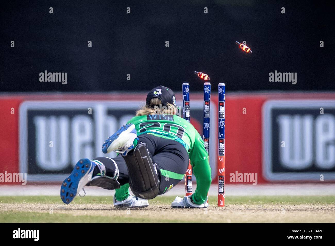 Melbourne, Australia, 19 November, 2023. Melbourne Stars player Sophie ...