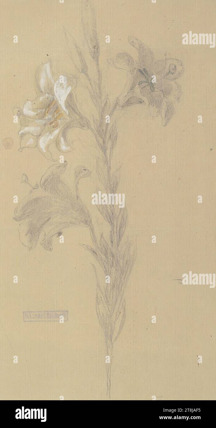 Iris, sketchbook Alt Franz; 13 pasted pages, Franz Alt, Vienna 1821 ...