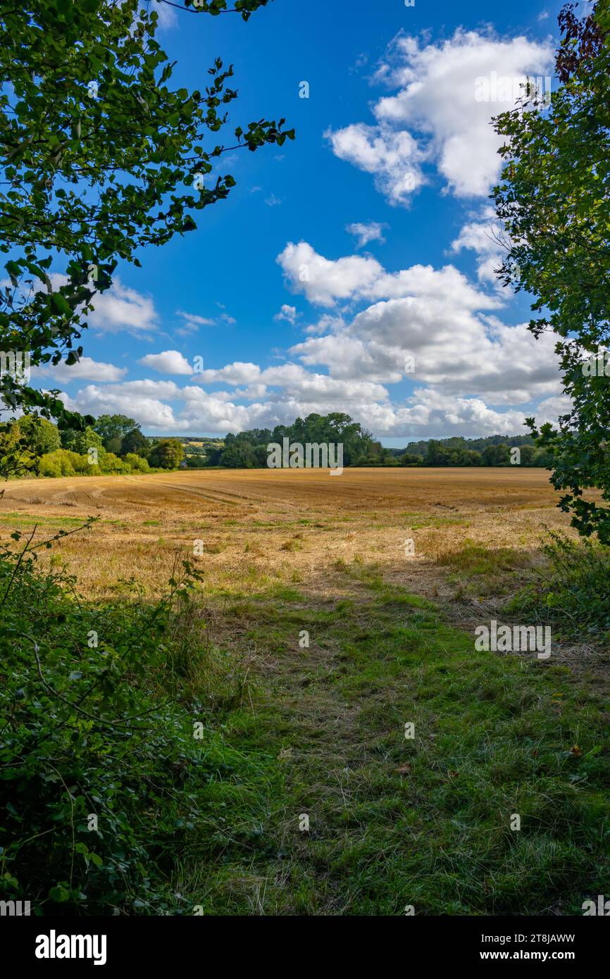 Countryside near Chilham Kent Stock Photo - Alamy