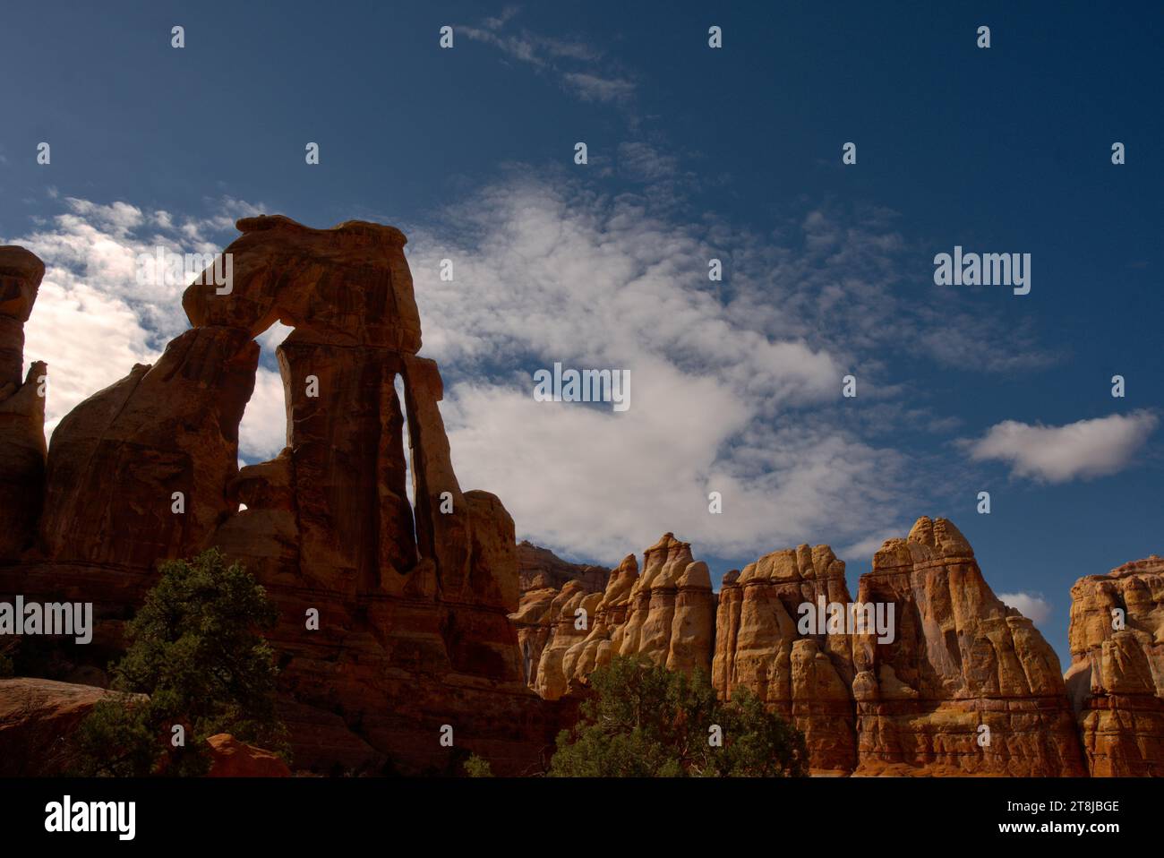Canyonlands druid arch trail hi-res stock photography and images - Alamy