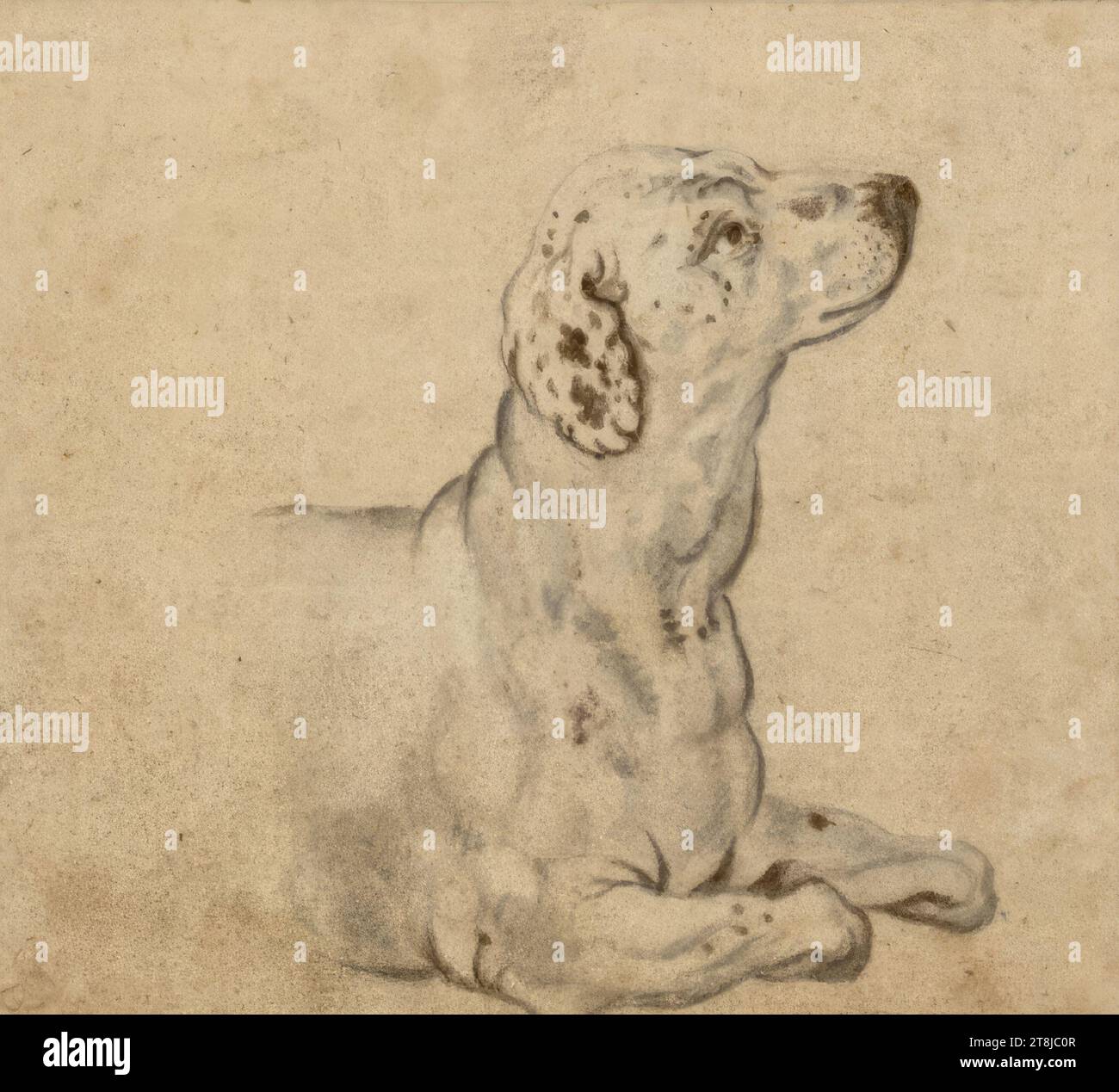 Travel sketchbook: Attentive dog, Valentin Wagner, Dresden around 1610 ...