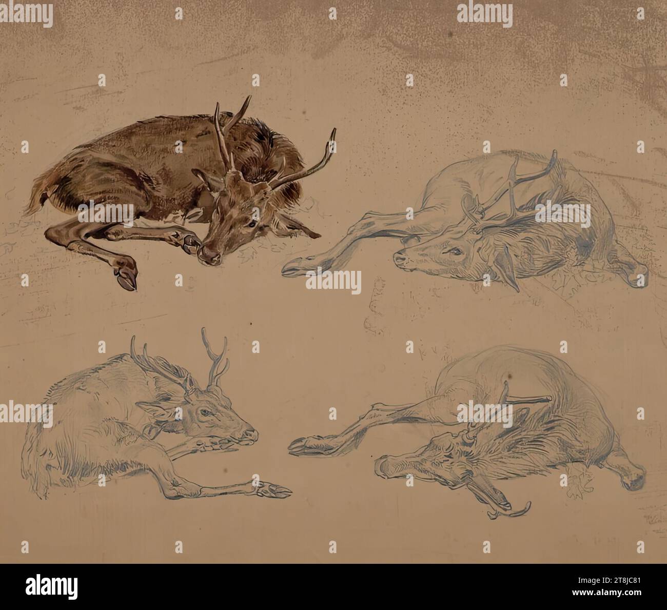 Four studies of lying deer, Carl Goebel, Vienna 1824 - 1899 Vienna ...