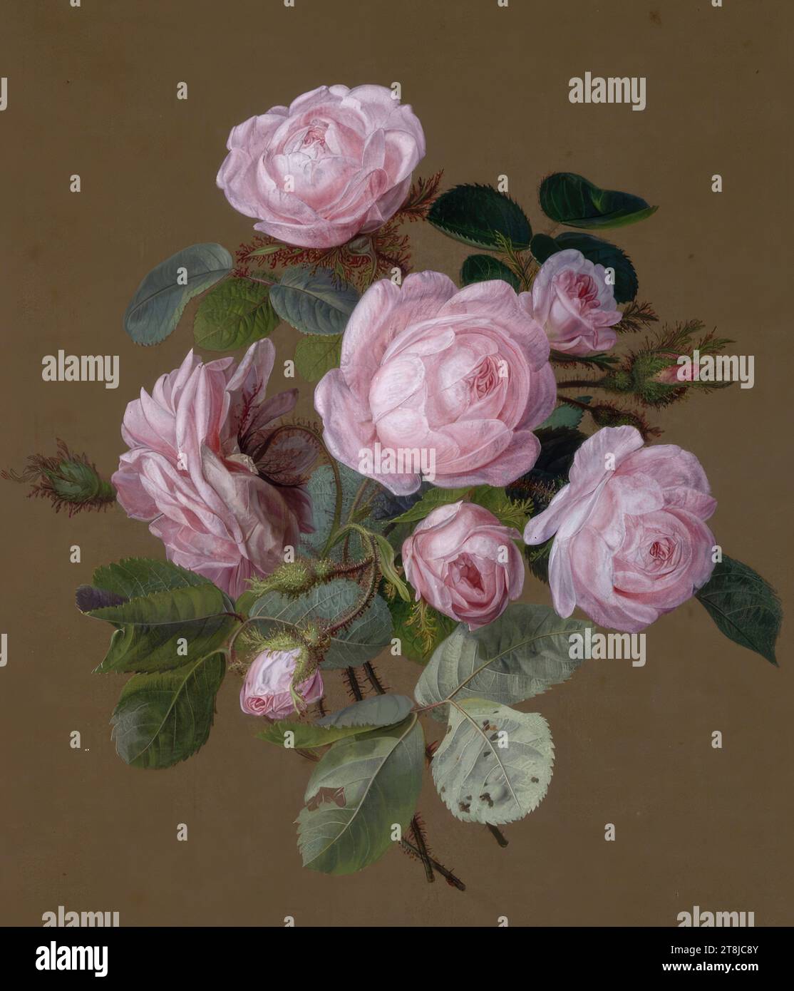 Pink roses, Ernst Moritz Gustav Tettelbach, Dresden-Freital 1794 - 1870 ...