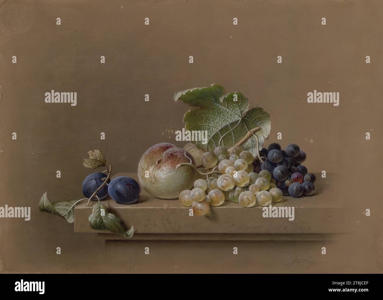 Fruit still life with grapes, plums and peaches on a stone ledge ...