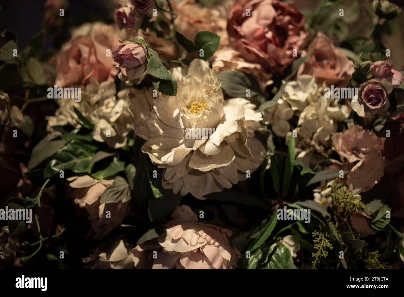 Dry flowers. Texture of roses. Beautiful Plants in Detail. Interior ...