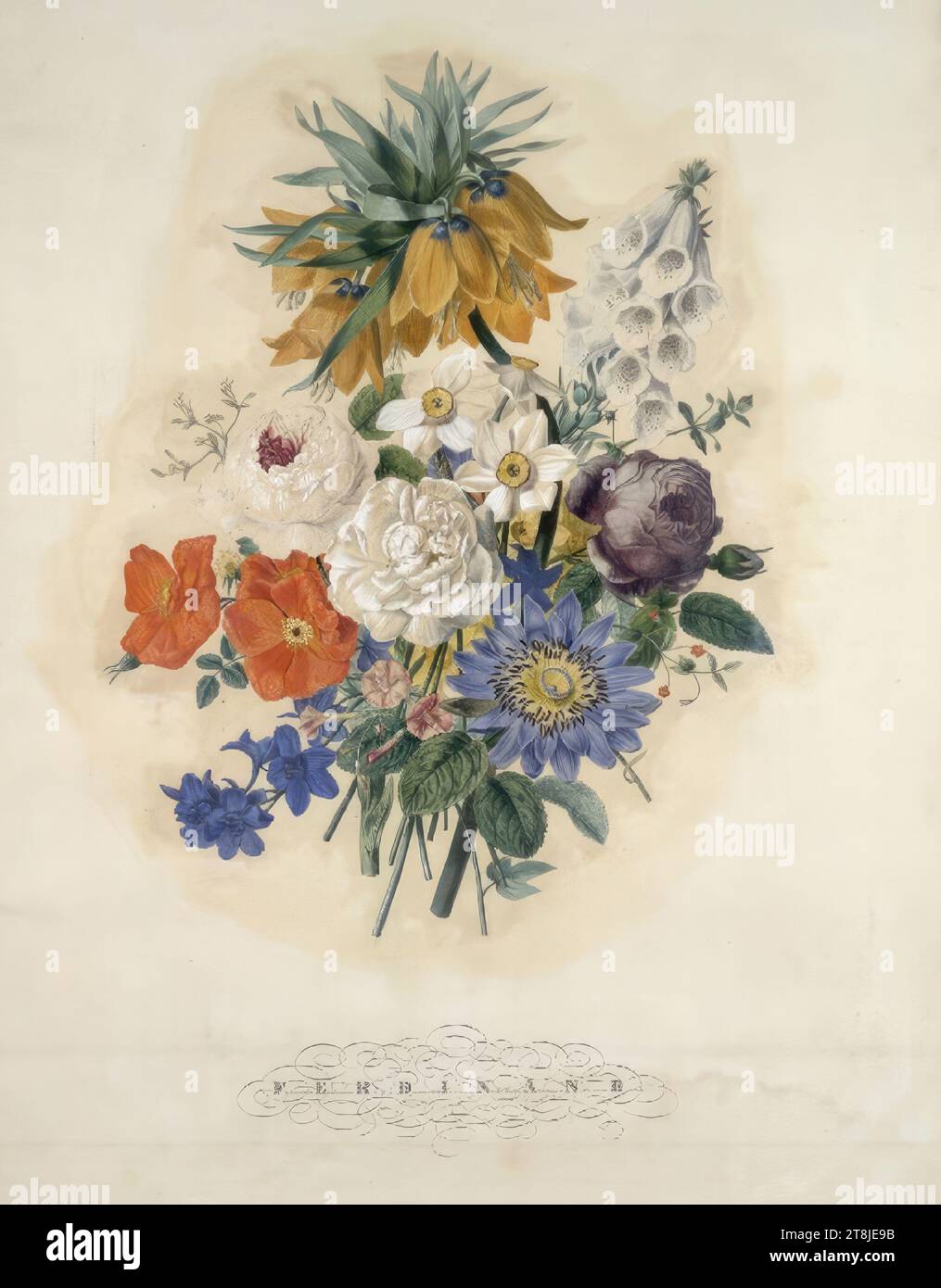 Ferdinand, flower piece, Josef August Satory, Austria 1803 - 1868 ...