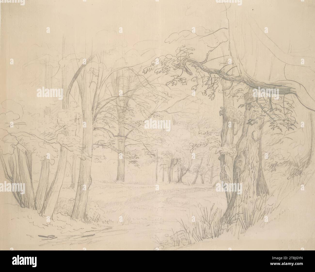 Forest clearing, sketchbook Toma Matthias Rudolf; 29 pasted pencil ...