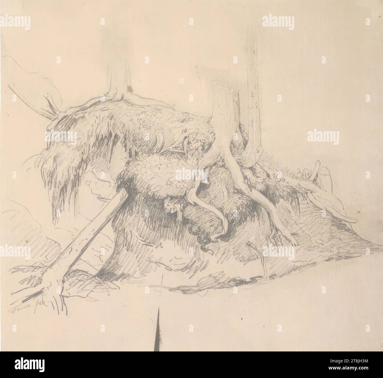 Dead tree trunks rooted in the ground, sketchbook Toma Matthias Rudolf ...