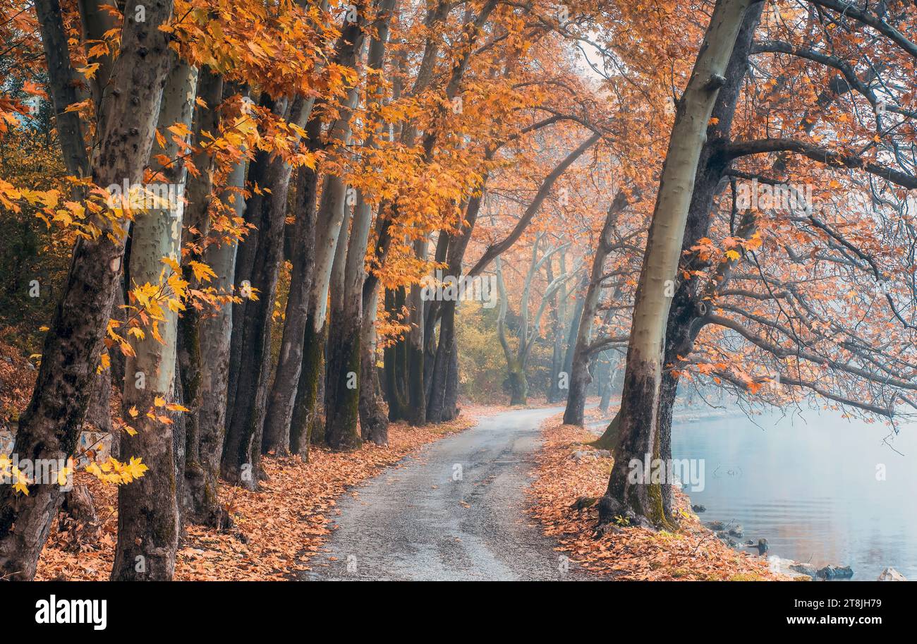 Season wallpapers hi-res stock photography and images - Alamy