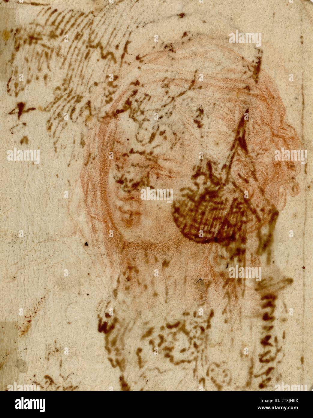 Head study, anonymous, drawing, red chalk, 10.4 x 8.4 cm Stock Photo ...