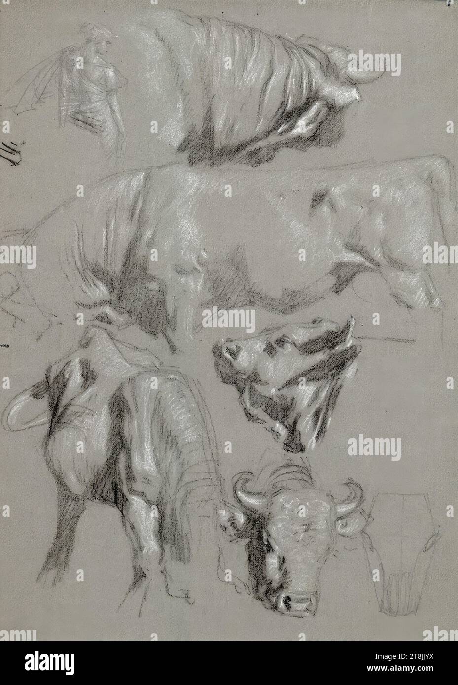 Six cattle studies hi-res stock photography and images - Alamy