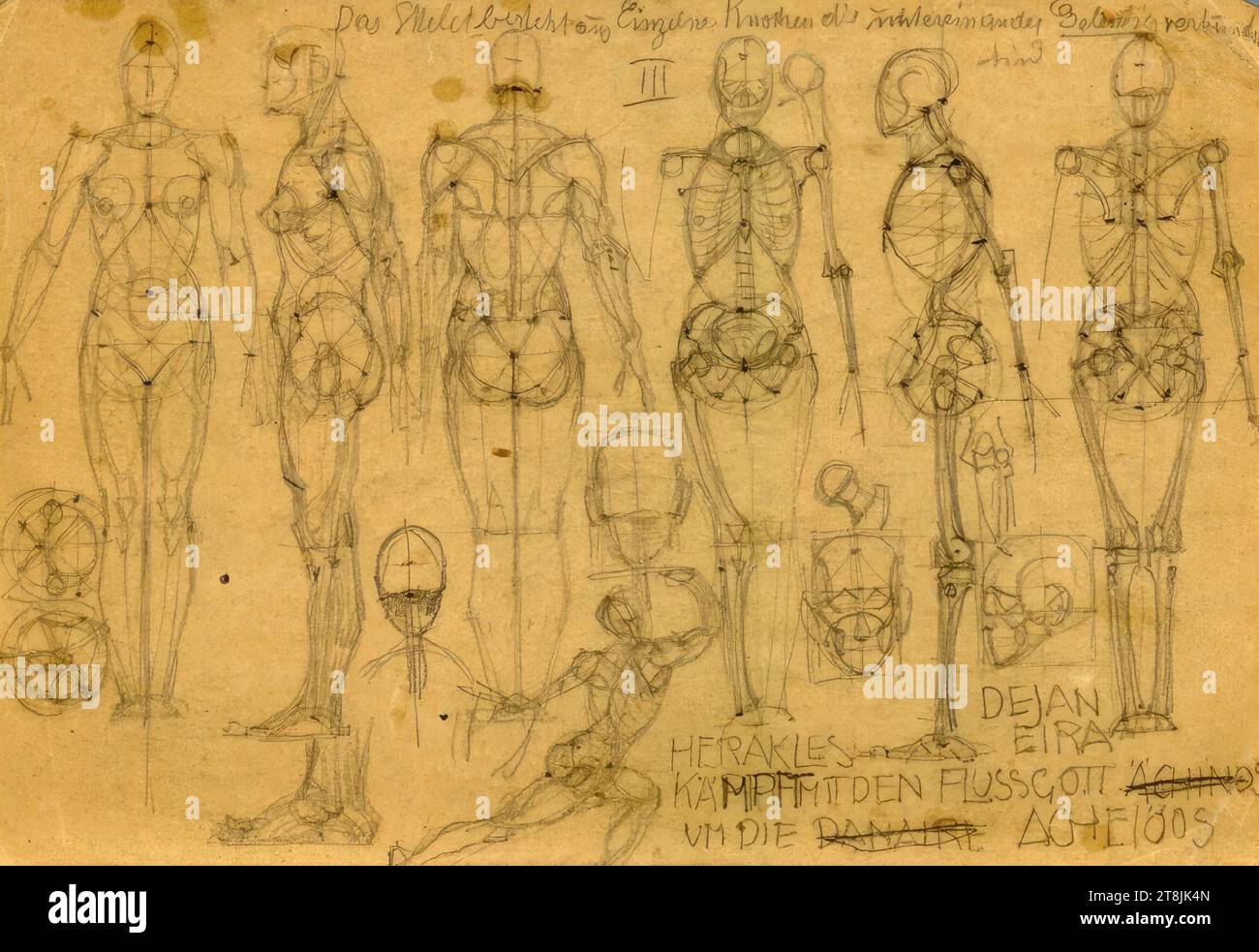 Various anatomical studies, Alexander Rothaug, Vienna 1870 - 1946 ...