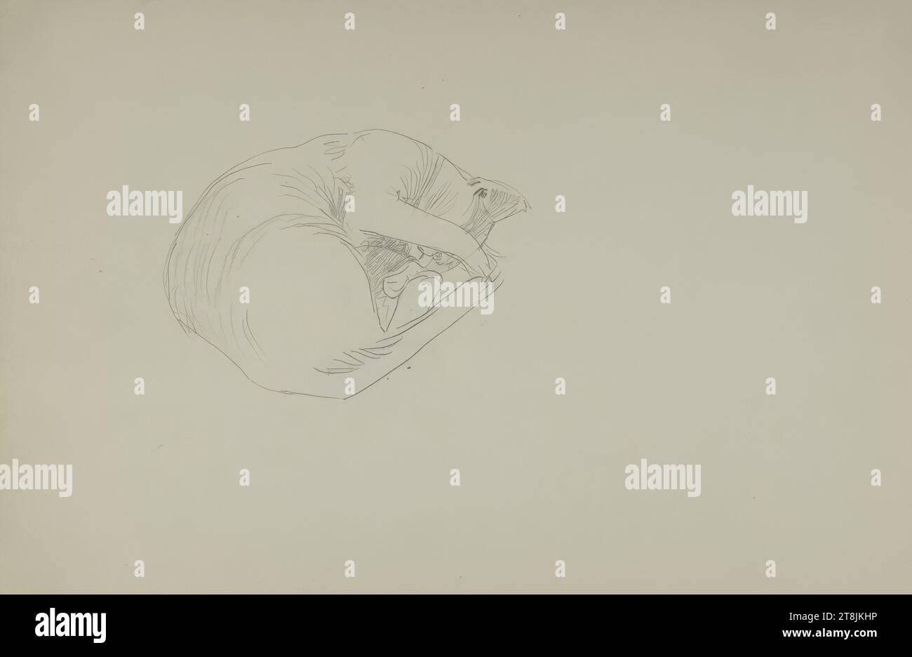 1872 1938 vienna hi-res stock photography and images - Alamy