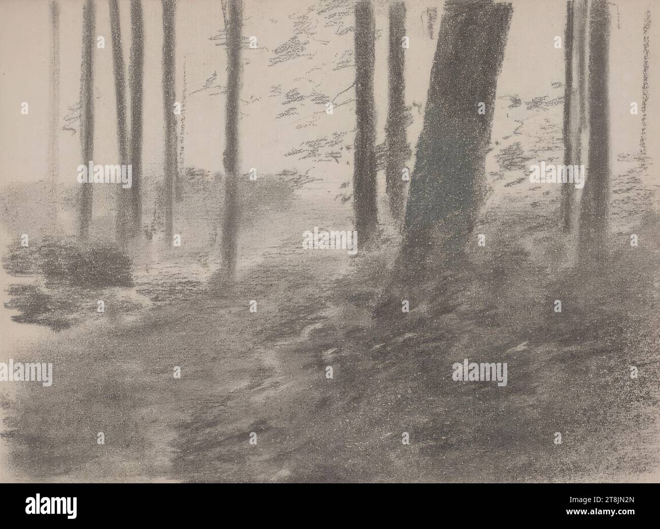 Forest study, sketchbook Rösch Ludwig; 35 paginated pages, Ludwig Rösch ...