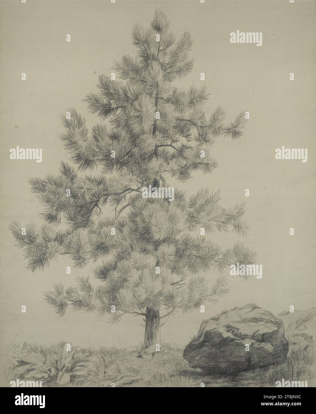 Tree study in the Prater, Rösch Ludwig sketchbook; 29 paginated pages ...