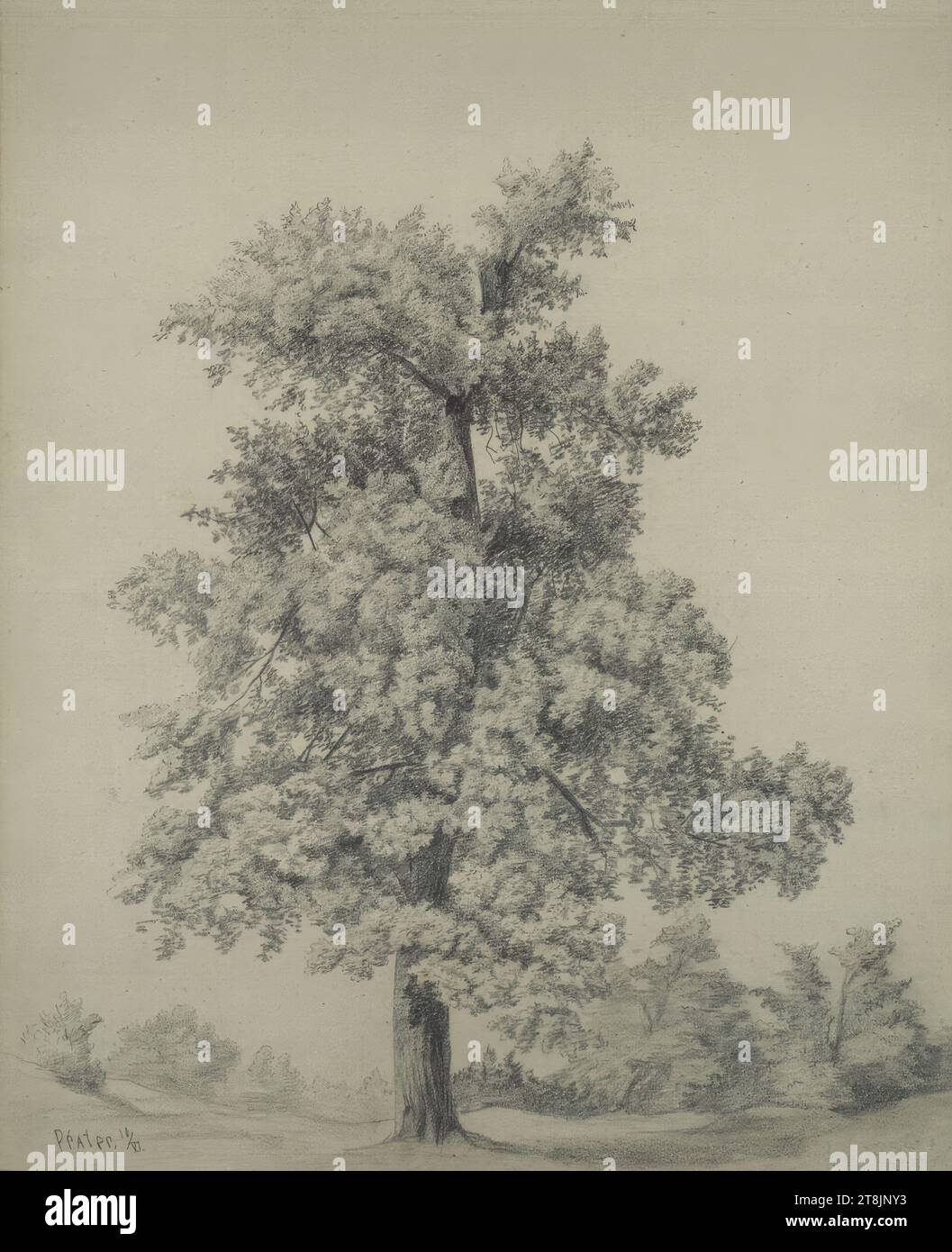 Tree study in the Prater, Rösch Ludwig sketchbook; 30 paginated pages ...