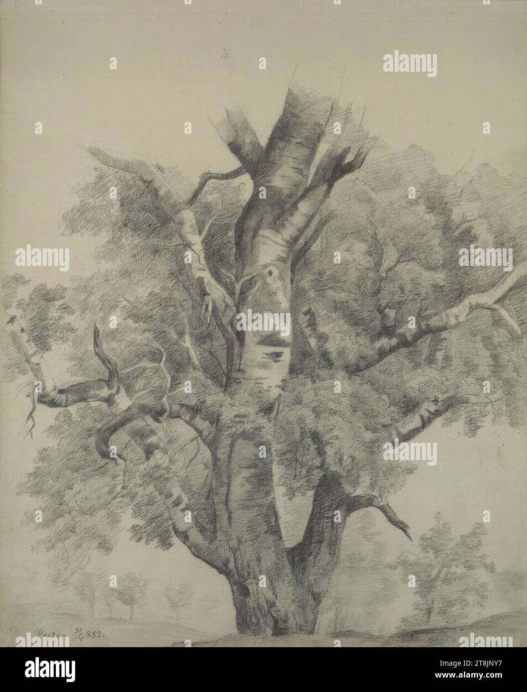 Tree study in the Prater, Rösch Ludwig sketchbook; 30 paginated pages ...